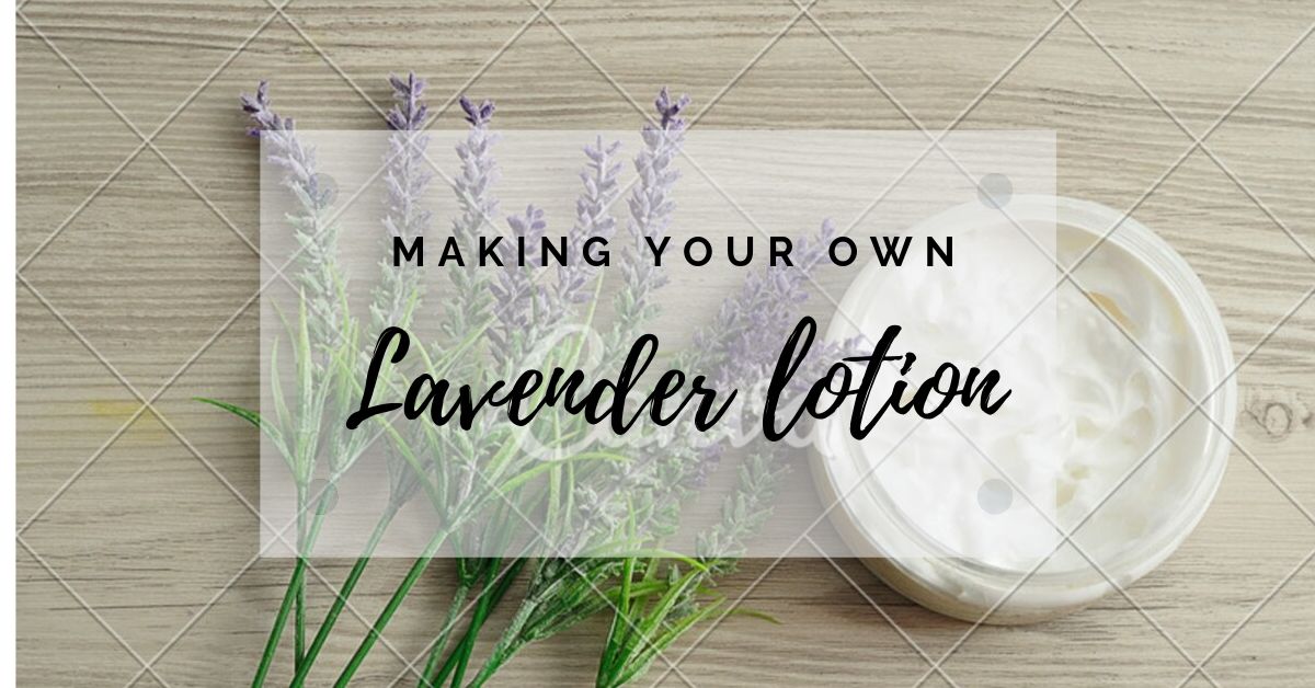 Making your own lavender lotion – Lavender Lotion